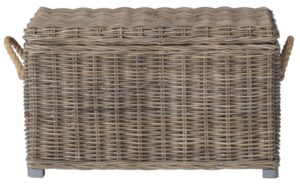 safavieh home collection salim grey rattan storage trunk