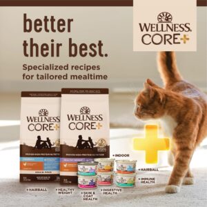 Wellness CORE+ Digestive Health Grain-Free Natural Wet Cat Food, Sensitive Stomach, Easily Digestible (Salmon Pate, 3 Ounce Can, 12 Pack)