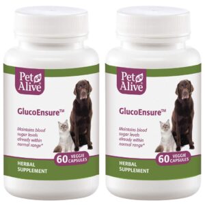 PetAlive GlucoEnsure 2 Pack