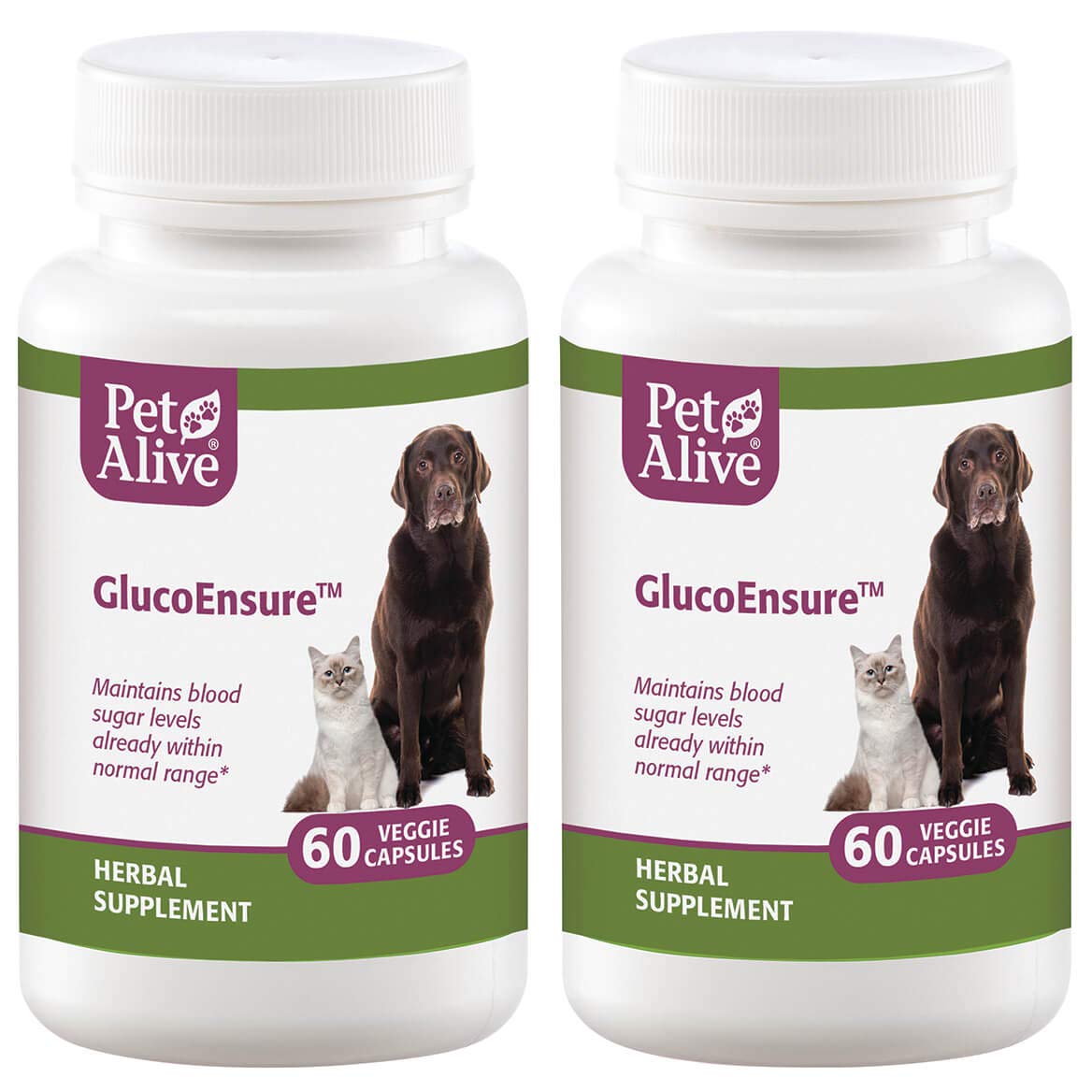 PetAlive GlucoEnsure 2 Pack