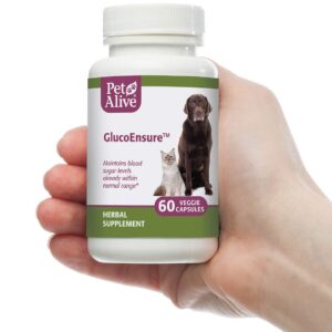 PetAlive GlucoEnsure 2 Pack