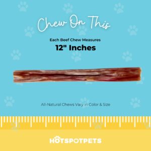 hotspot pets Premium Beef Gullet Sticks for Dogs 12" - All Natural Grass-Fed Beef Dog Chews, Rich in Glucosamine Chondroitin for Joint Health, Single Ingredient No Rawhide Dog Treats