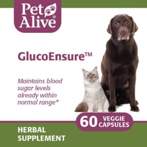 PetAlive GlucoEnsure 2 Pack