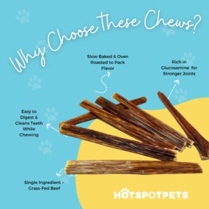 hotspot pets Premium Beef Gullet Sticks for Dogs 12" - All Natural Grass-Fed Beef Dog Chews, Rich in Glucosamine Chondroitin for Joint Health, Single Ingredient No Rawhide Dog Treats