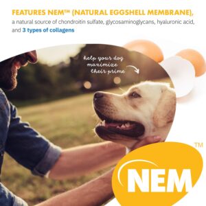 HealthyFlex Canine™ Joint + Mobility Dietary Supplement for Dogs, Natural Eggshell Membrane NEM Formula