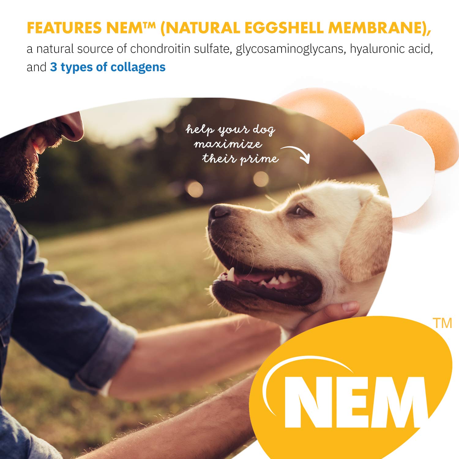 HealthyFlex Canine™ Joint + Mobility Dietary Supplement for Dogs, Natural Eggshell Membrane NEM Formula