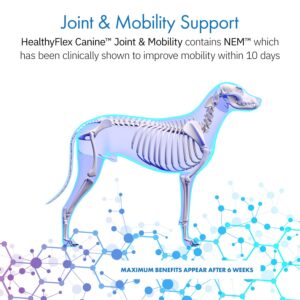 HealthyFlex Canine™ Joint + Mobility Dietary Supplement for Dogs, Natural Eggshell Membrane NEM Formula