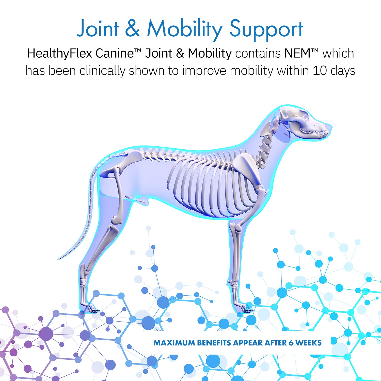 HealthyFlex Canine™ Joint + Mobility Dietary Supplement for Dogs, Natural Eggshell Membrane NEM Formula