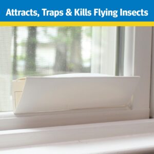 Raid, 12 Pack, Discreet Window Fly Trap