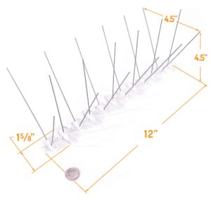 Bird Barrier Bird-Flite Stainless Steel Bird Spikes | Metal Pins Strips with Plastic Base, Clear Glue Adhesive Included - Wide (5in) - 10 Ft. Length