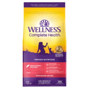 wellness complete health natural dry cat food with wholesome grains, made in usa with real meat (adult, salmon & salmon meal recipe, 5-pound bag)