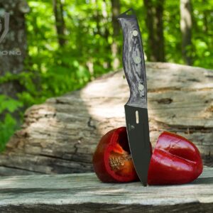 Dalstrong Paring Knife - 4 inch - Delta Wolf Series Knife - Ultra-Thin & Zero Friction Blade - HC 9CR18MOV Steel - Black Titanium Nitride Coating - G10 Camo Handle Kitchen Chef Knife - Leather Sheath