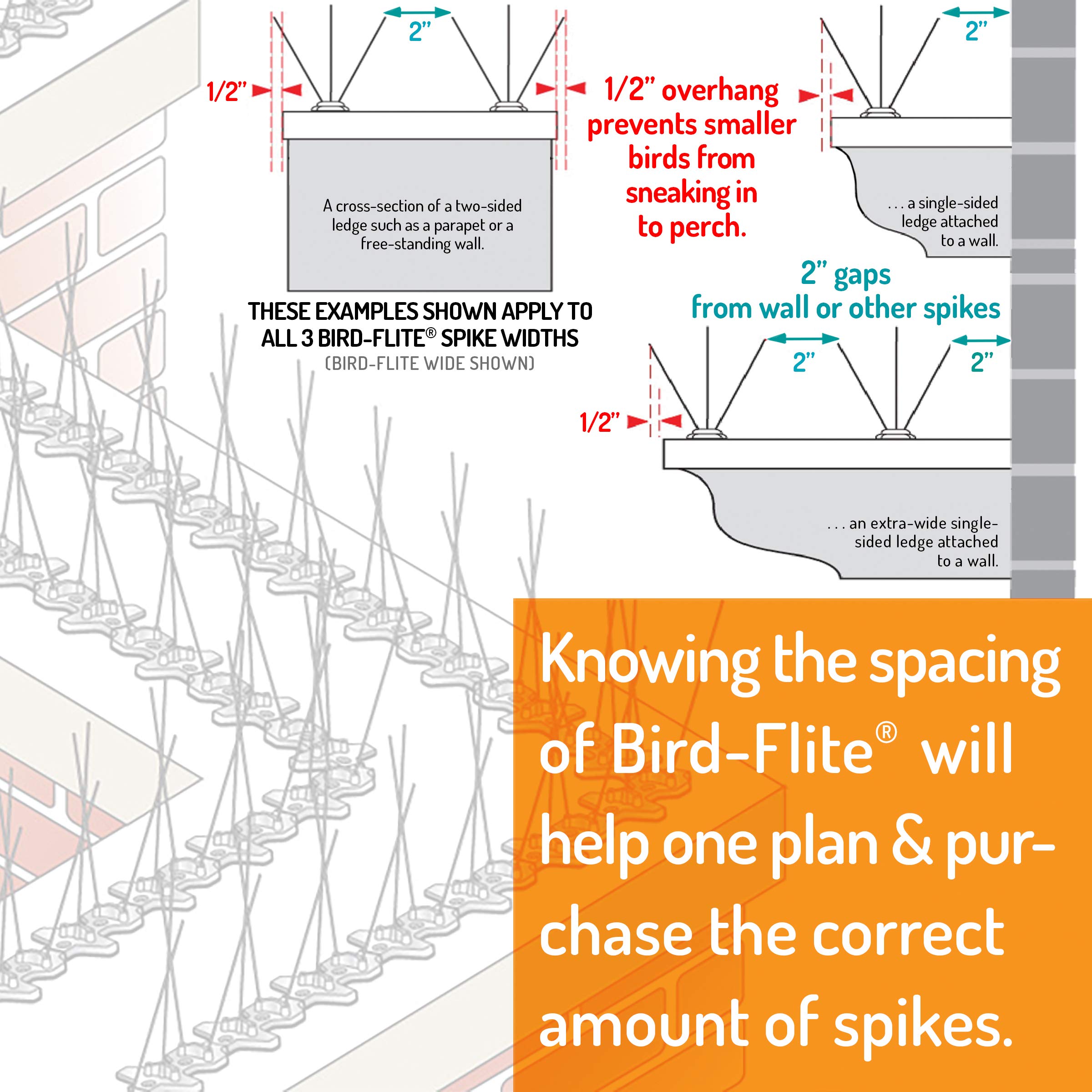 Bird Barrier Bird-Flite Stainless Steel Bird Spikes | Metal Pins Strips with Plastic Base, Clear Glue Adhesive Included - Wide (5in) - 10 Ft. Length