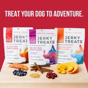 Wild Nature Beef Jerky Dog Treats | Healthy, All-Natural Jerky Sticks Made in The USA Only | High Protein, Soft Chew Dog Jerky Treats | Grain Free Superfoods | Perfect Training Treats All Breeds