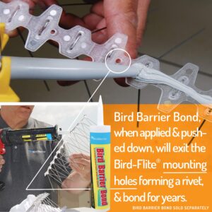 Bird Barrier Bird-Flite Stainless Steel Bird Spikes | Metal Pins Strips with Plastic Base, Clear Glue Adhesive Included - Wide (5in) - 10 Ft. Length