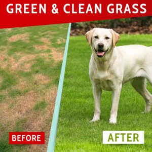 PAWFECTCHEW Dog Pee Grass Helper - Grass Treatment for Dog Urine - Dog Urine Neutralizer for Grass Burn Spots - Dog Pee Lawn Repair Treats with Probiotics - Made in USA - 120 Chews