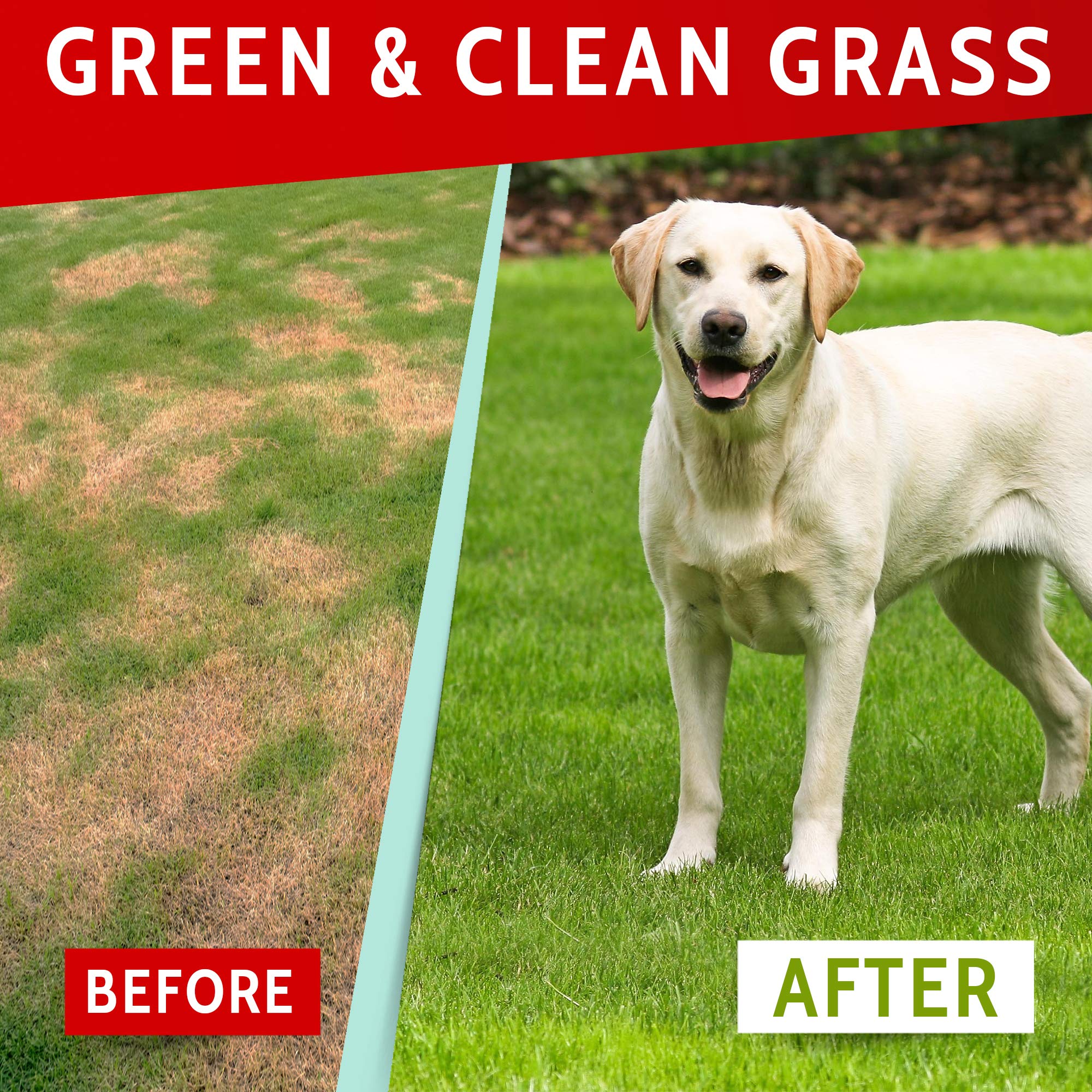 PAWFECTCHEW Dog Pee Grass Helper - Grass Treatment for Dog Urine - Dog Urine Neutralizer for Grass Burn Spots - Dog Pee Lawn Repair Treats with Probiotics - Made in USA - 120 Chews