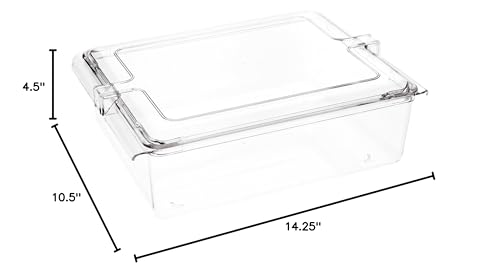 Pioneer Plastics 395C Clear Rectangular Plastic Container, 12.5" W x 10.0625" D x 3.8125" H