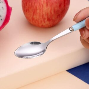 Goeielewe Grapefruit Spoons with Round Serrated Edges for Citrus Kiwi Fruit and Dessert, Ceramic Handle Stainless Steel Dessert Spoons with Storage Box (Blue)