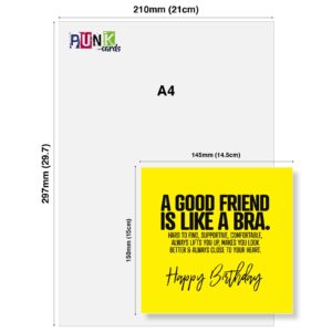 Punkcards - Friend Birthday Card Female - 'A Good Friend Is Like A Bra' - Best Friend Birthday Card - Birthday Card Friend Female - Special Friend Birthday Card