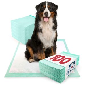 valuepad plus puppy pads, extra large 28x36 inch, 100 count - premium pee pads for dogs, tear resistant, super absorbent polymer gel core, 5-layer design