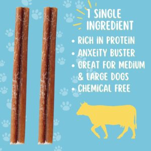 hotspot pets Bully Sticks 6 Inch- 10 Pack- Premium Natural Long Lasting Bully Sticks for Medium Dogs Beef Pizzle Treats - Grain Free Fully Digestible Rawhide Alternative Stix