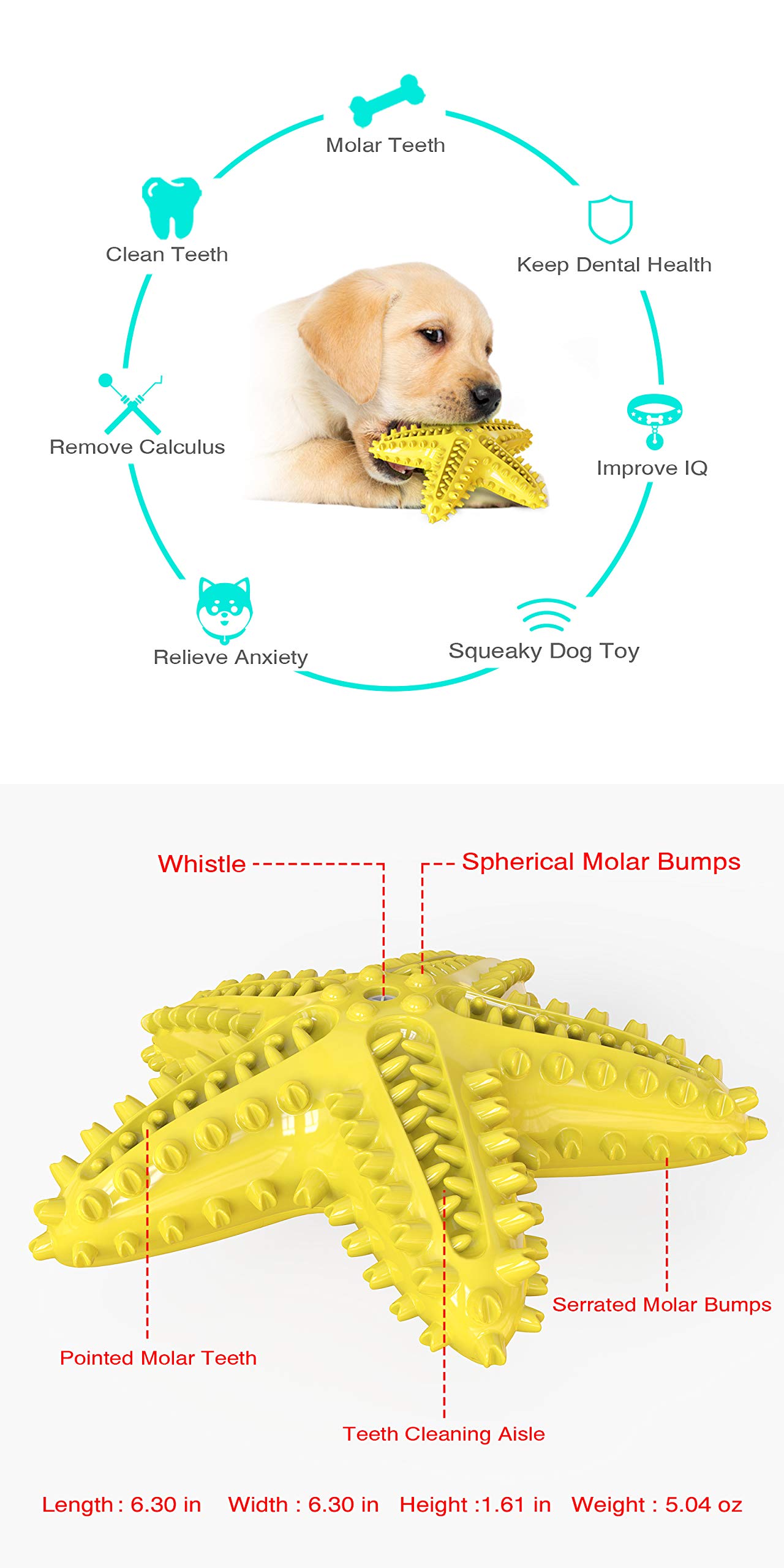 ANROD Dog Toothbrush Chew Toys for Aggressive Chewers Large Breed,Squeaky Talking Dogs Toy,Rubber Indestructible Tough Teeth Cleaning Stick for Small Dogs Dental Care (Yellow Starfish)