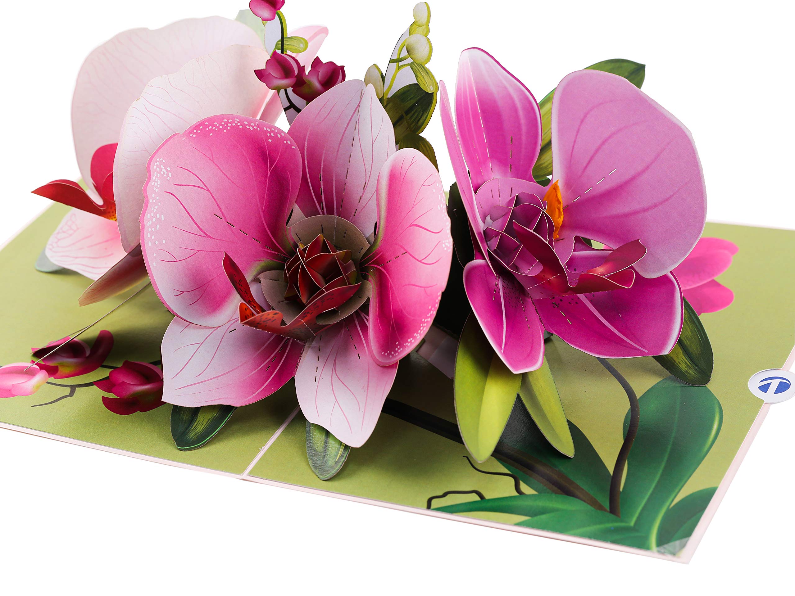 TRUANCE Pop Up Orchid Flower Mother Day Card- 3D Cards For Birthday, Anniversary, Thank You Cards, Card for Mom, Congratulation Card, Love Card, All Occasion