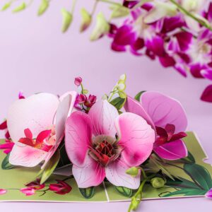 TRUANCE Pop Up Orchid Flower Mother Day Card- 3D Cards For Birthday, Anniversary, Thank You Cards, Card for Mom, Congratulation Card, Love Card, All Occasion