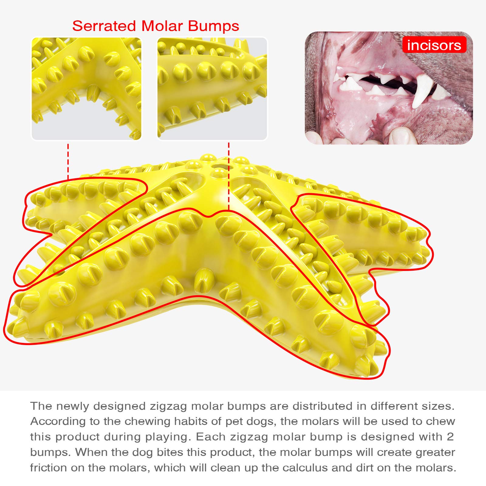 ANROD Dog Toothbrush Chew Toys for Aggressive Chewers Large Breed,Squeaky Talking Dogs Toy,Rubber Indestructible Tough Teeth Cleaning Stick for Small Dogs Dental Care (Yellow Starfish)