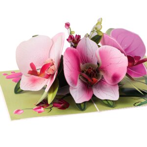 TRUANCE Pop Up Orchid Flower Mother Day Card- 3D Cards For Birthday, Anniversary, Thank You Cards, Card for Mom, Congratulation Card, Love Card, All Occasion