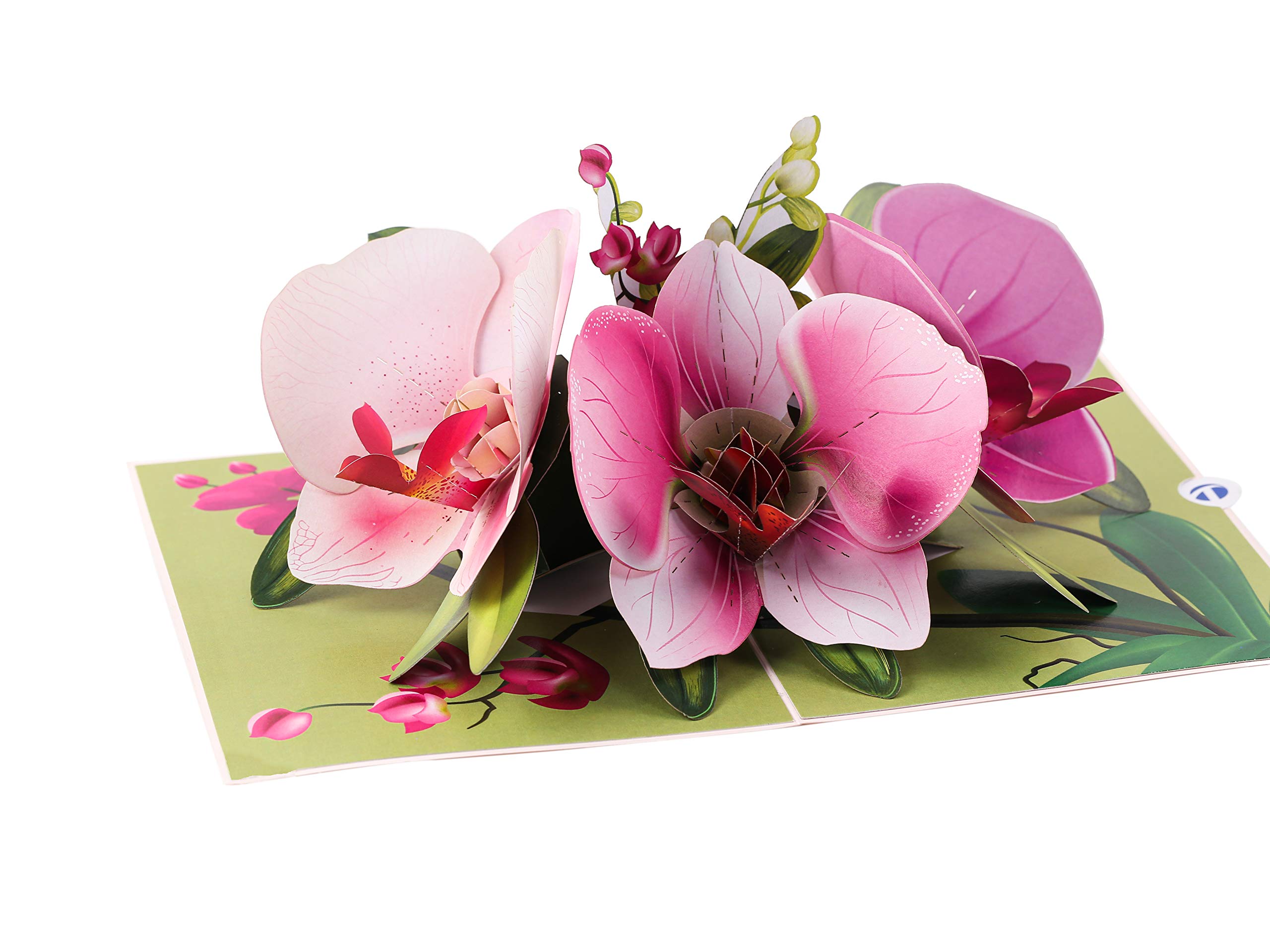 TRUANCE Pop Up Orchid Flower Mother Day Card- 3D Cards For Birthday, Anniversary, Thank You Cards, Card for Mom, Congratulation Card, Love Card, All Occasion