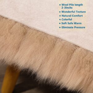 AOGELAN Shaggy Fur Area Rug, Genuine New Zealand Sheepskin Rug, Soft Fur Prayer Pup Carpet Mat, Single Pelt 2ft x 3ft (Light Brown, 2x3ft)