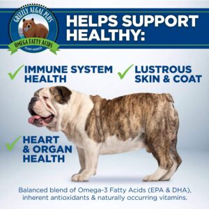 Grizzly Algal Plus Omega Fatty Acids Supplement for Dogs & Cats, 32 Fl Oz - Vegan, Plant-Sourced & Made in USA Algal Oil Omega 3-6-9, Healthy Skin & Coat