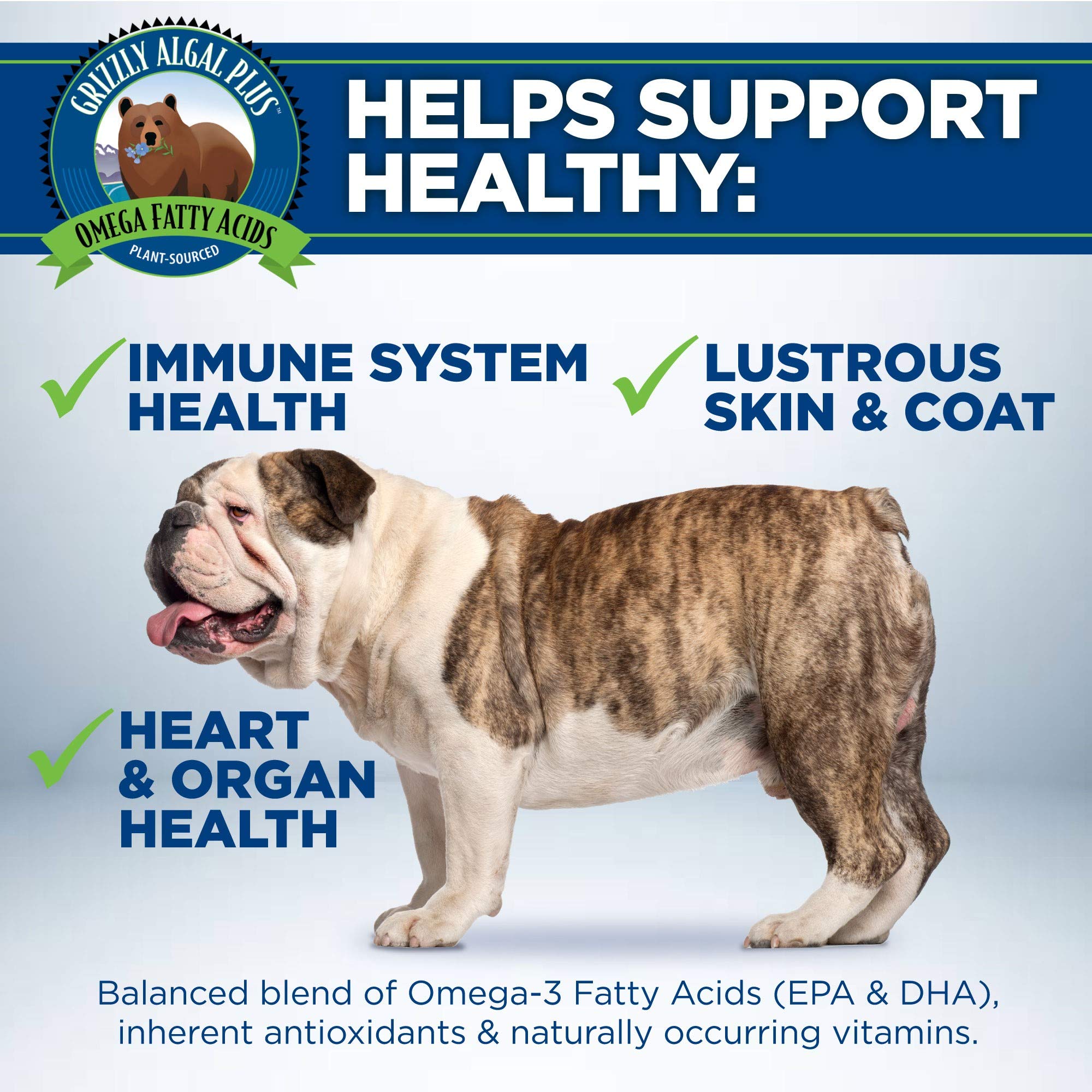 Grizzly Algal Plus Omega Fatty Acids Supplement for Dogs & Cats, 16 Fl Oz - Vegan, Plant-Sourced & Made in USA Algal Oil Omega 3-6-9, Healthy Skin & Coat