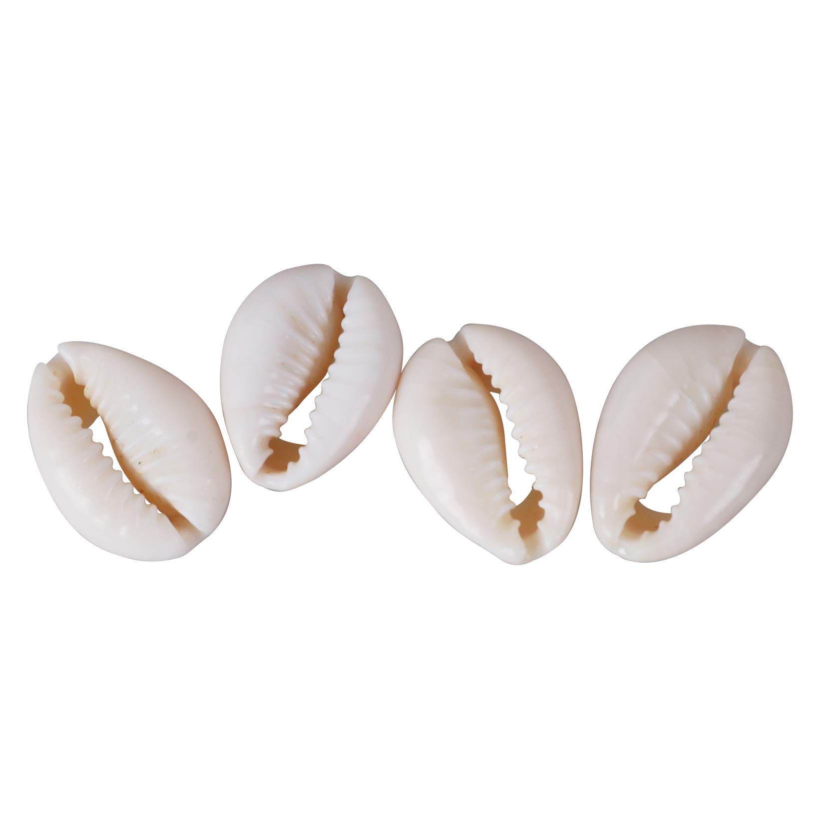 150 PCS White 0.63"-0.71" Natural Strong Cowrie Shell Beads Smooth Cut Oval Seashells, Beach Seashells with Big Hole for DIY Craft Jewelry Making, Adorning Hair Locks and Braids