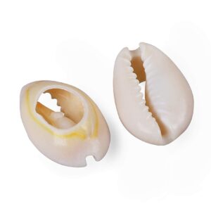 150 PCS White 0.63"-0.71" Natural Strong Cowrie Shell Beads Smooth Cut Oval Seashells, Beach Seashells with Big Hole for DIY Craft Jewelry Making, Adorning Hair Locks and Braids