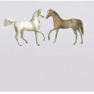 Two Horses Place Cards, Set of 25, Pre-cut and Scored - Wedding, Party, Dinner, and Special Events - Made in the USA