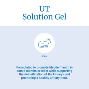 Pet-Ag UT Solution Gel Supplement for Cats - 3.5 oz, Pack of 2 - Supports a Healthy Urinary Tract for Cats 6 Months and Older