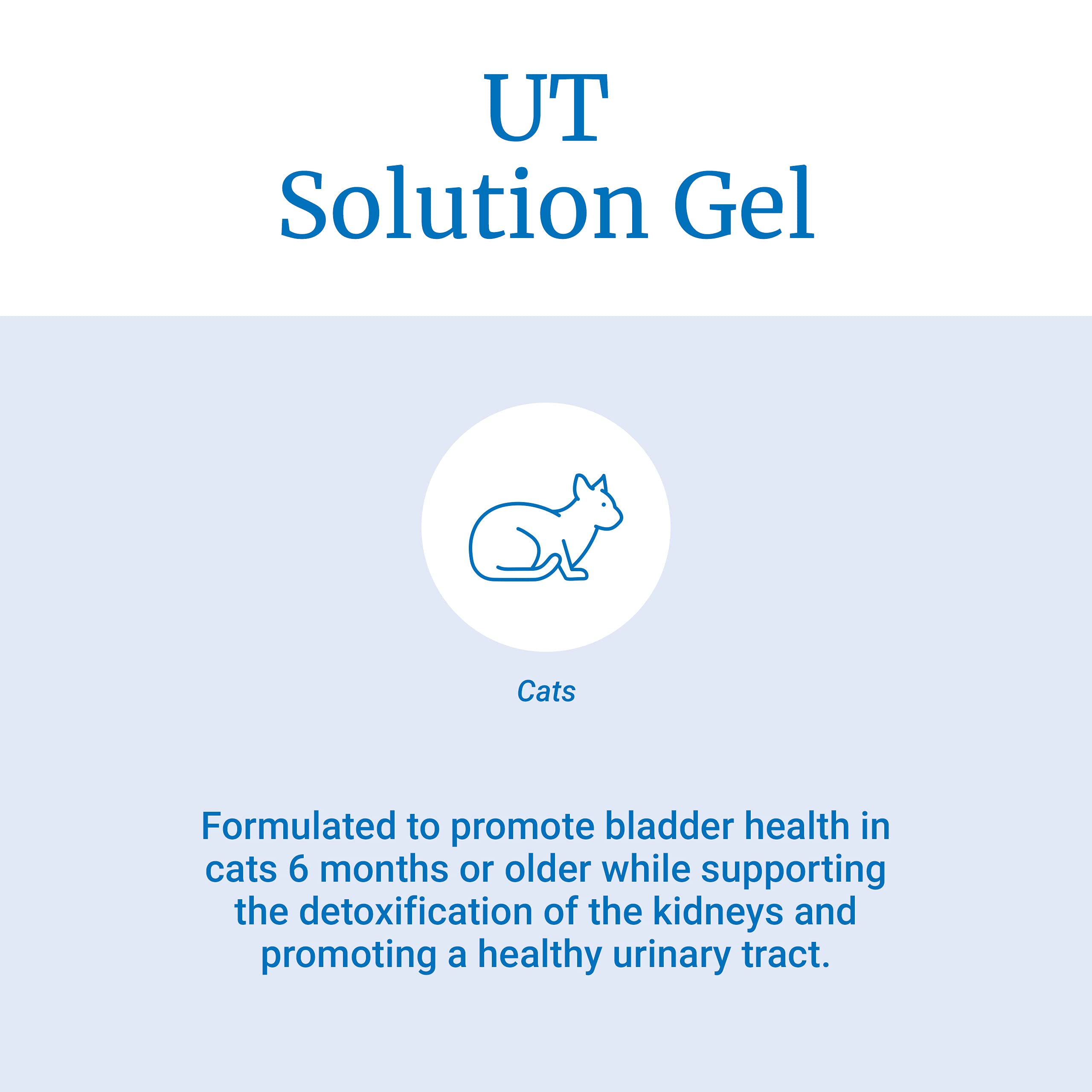 Pet-Ag UT Solution Gel Supplement for Cats - 3.5 oz, Pack of 2 - Supports a Healthy Urinary Tract for Cats 6 Months and Older