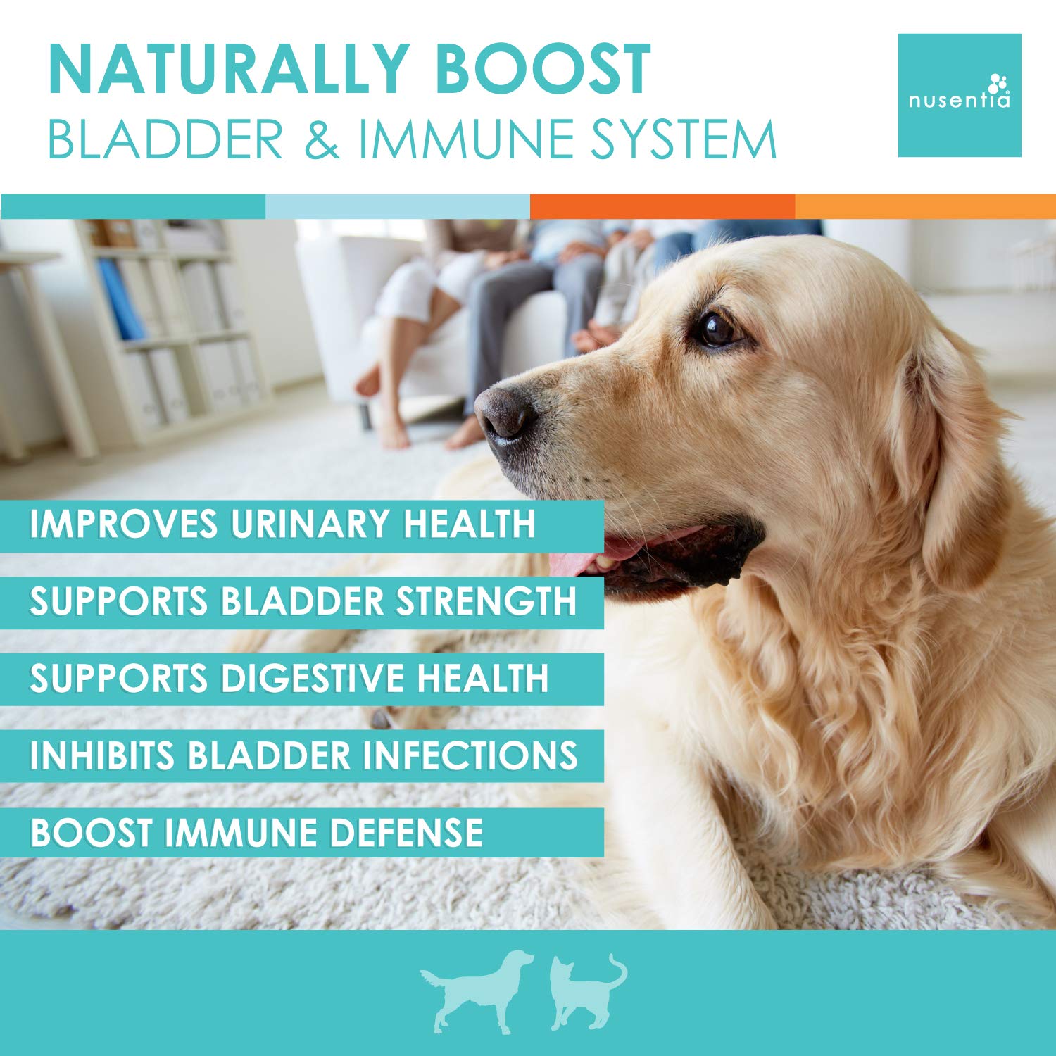 NUSENTIA Urinary & Immune Health Bundle - Natural Bladder Support for Cats & Dogs, Gut Defense, UTI Protection. Probiotics, Prebiotics, Cranberry + D-Mannose. USA