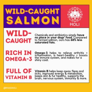 HOLI Freeze Dried Salmon Dog Treats - with Omega 3 and 6 Fish Oil - All Natural Dog Treats - Human Grade - Wild Caught Skin on Salmon - Made in USA - Grain Free - Diabetic Friendly