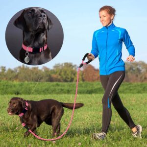 Ladoogo Reflective Dog Collar Padded with Soft Neoprene Breathable Adjustable Nylon Dog Collars for Small Medium Large Dogs (Large (Pack of 1), Pink Collar+Leash)