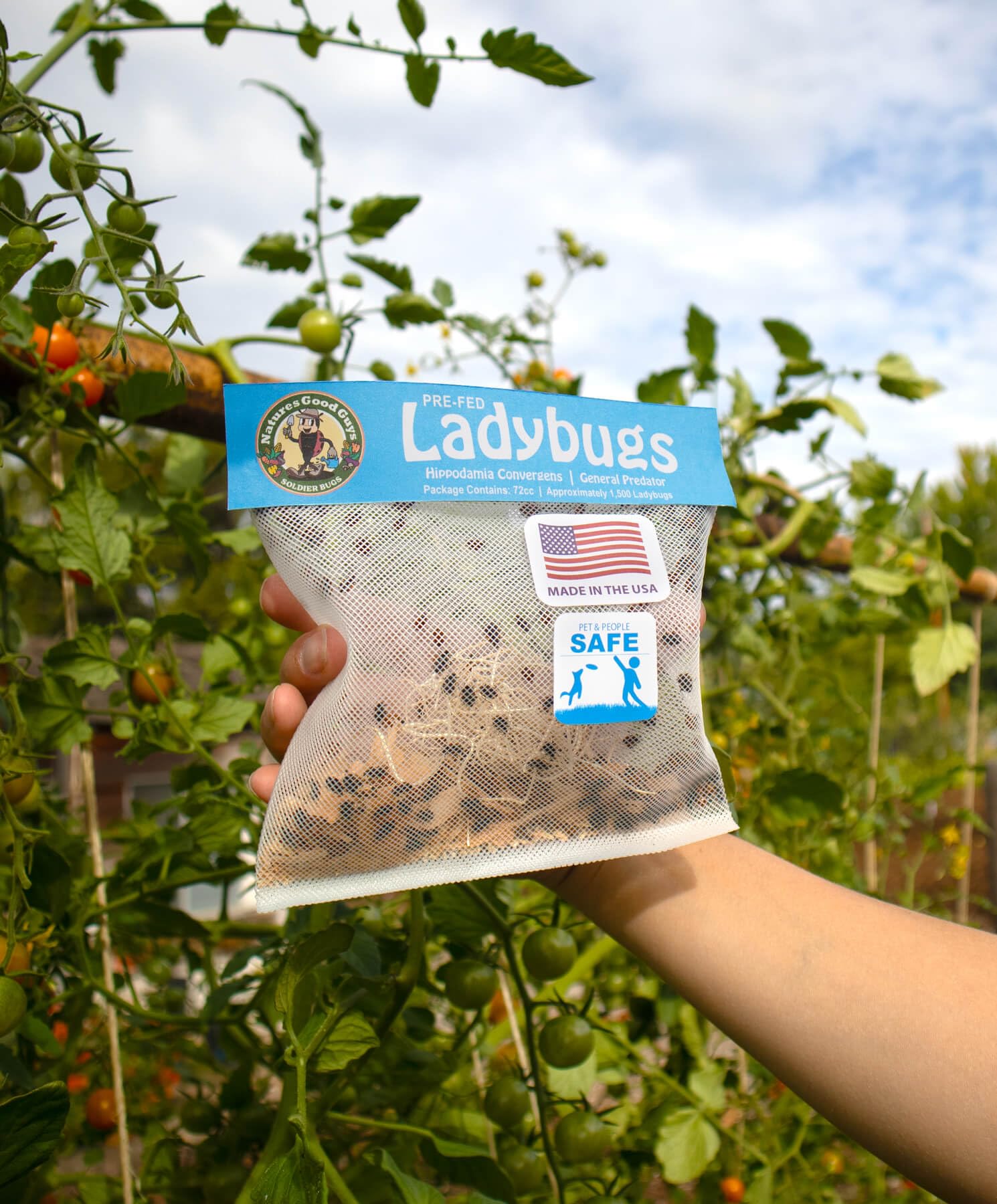 NaturesGoodGuys - Live Ladybugs (150 Live Ladybugs)