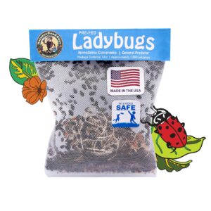 naturesgoodguys - live ladybugs (150 live ladybugs)