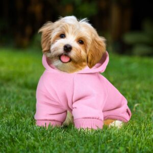 2 Pieces Winter Dog Hoodie Warm Small Dog Sweatshirts with Pocket Cotton Coat for Chihuahua Clothes Puppy Costume(S,Pink, Light Purple)