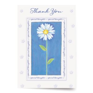 designer greetings thank you cards, special thoughts meant so much message for any occasion (8 daisy thank-you notes and envelopes)