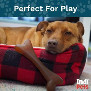 INDIPETS Bone Fetch & Chew Toy for Medium Dogs Durable, Safe, Plant-Derived Toy Made with 100% Natural Rubber | Medium, Natural (PN: 60007)