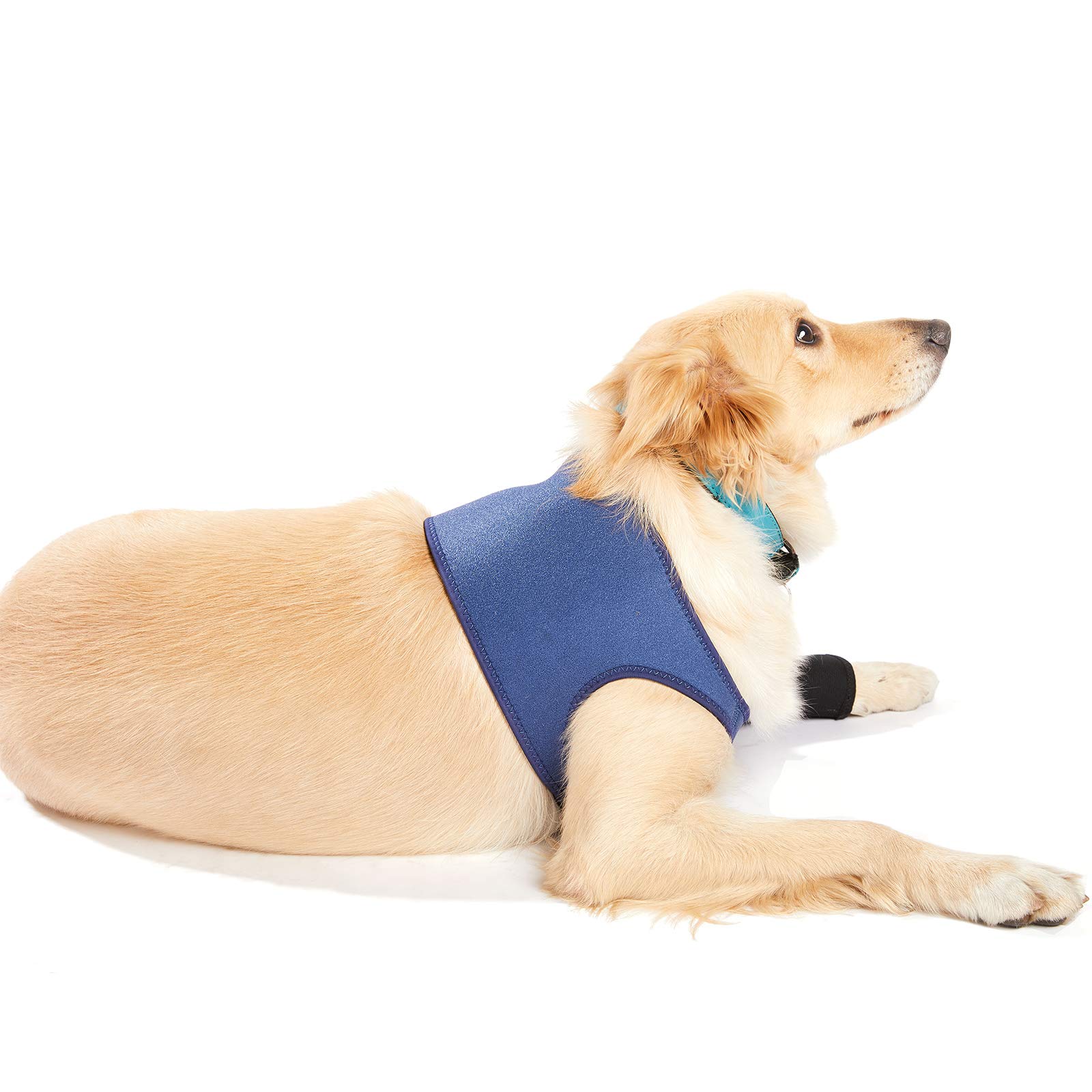 Dog Recovery Suit, Cone Collar Alternative, Abrasion Resistant Dog Recovery Sleeve, Washable 2.5mm Thick and Waterproof, Pet Wounds Prevent Licking, Bite, Keep Dry (XL)