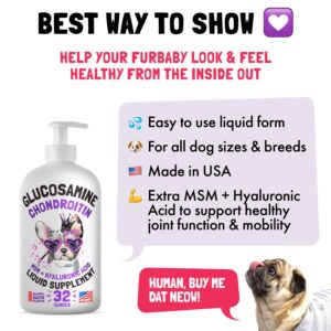 Liquid Glucosamine for Dogs Bacon Flavour Chondroitin, MSM & Hyaluronic Acid K9 Supplement Hip and Joint Formula Advanced Mobility Joint Pain Relief Senior Advanced Supplement for All Breeds 32 oz